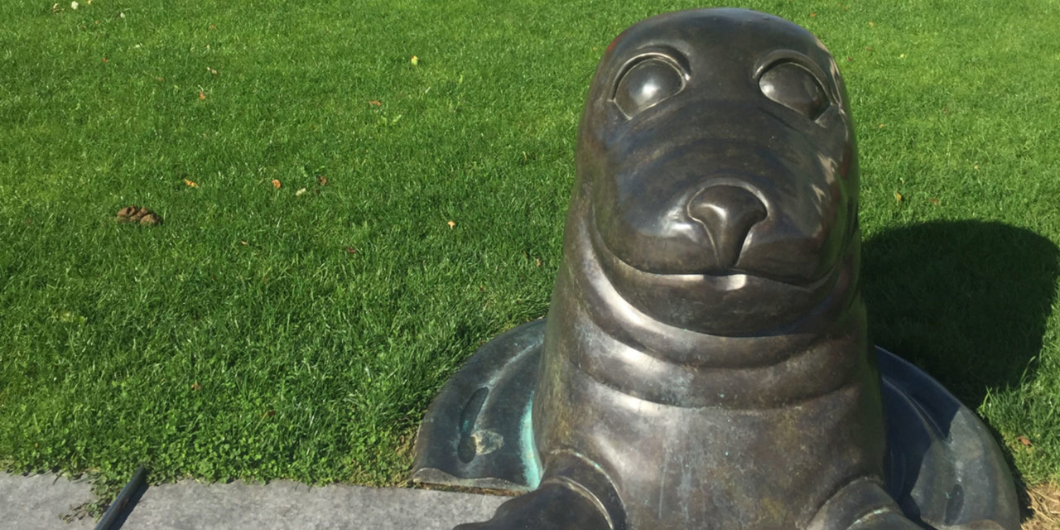 Sammy the Seal: Belfast’s Flippered Folk Hero - Dead Centre Tours